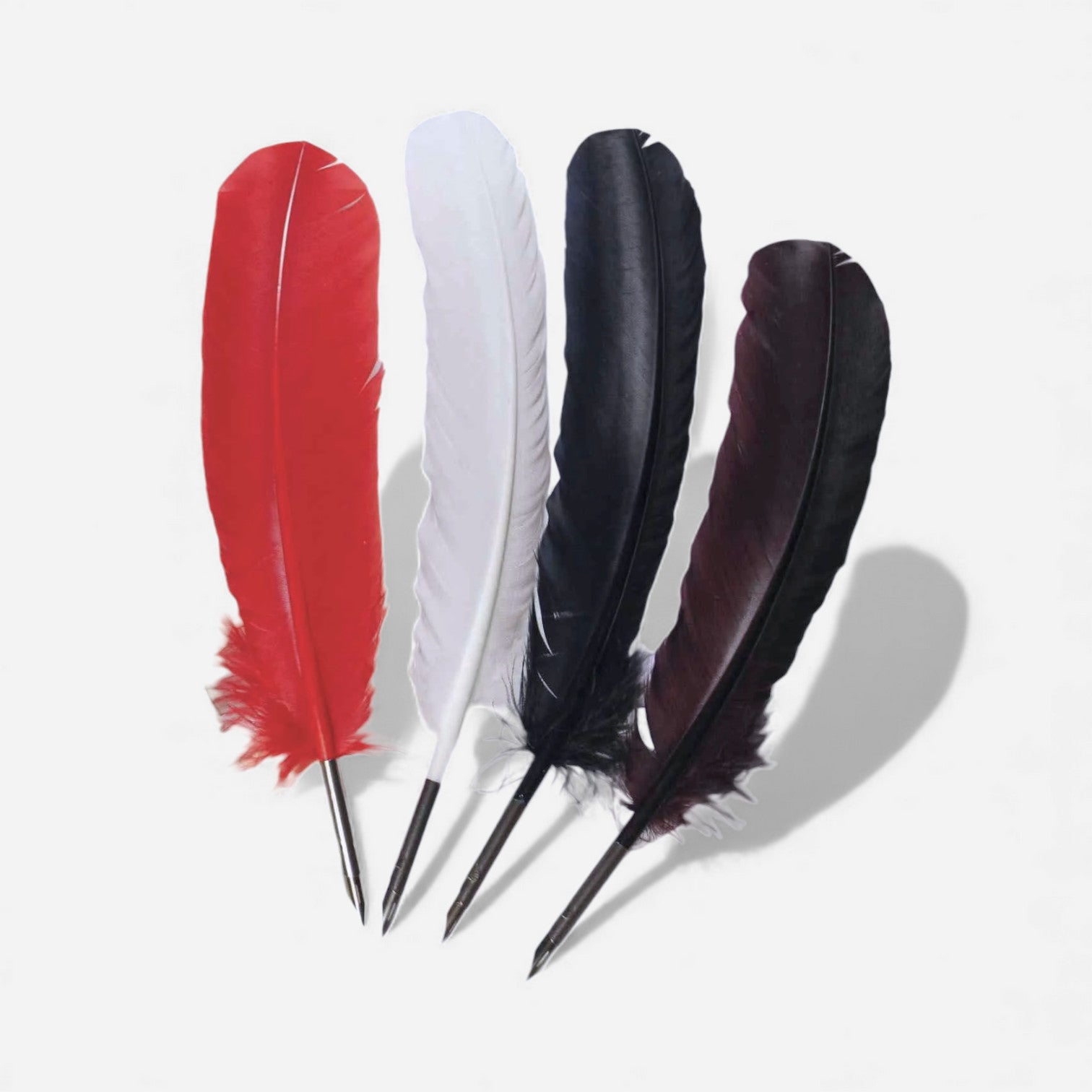 Manuscript Quill Pens - Assorted Colours – Queenstown Art Supplies